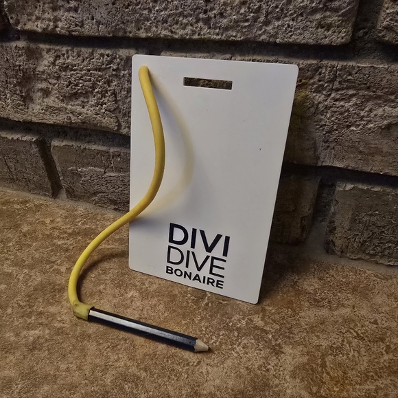 Divi Dive Bonaire | Art | Scuba Divi Dive Bonaire Underwater Writing ...